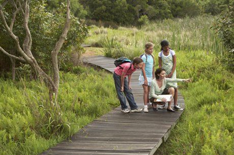 Six Outdoor Education Resources for Parents | Edutopia