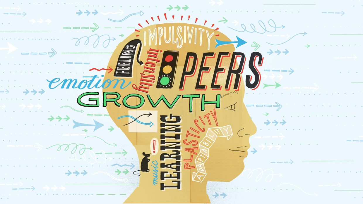 Decoding the Teenage Brain (in 3 Charts) | Edutopia