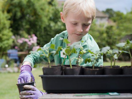 Garden-Based Learning | Edutopia