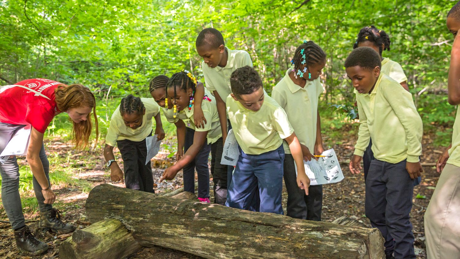 Yes, Field Trips Are Worth the Effort | Edutopia