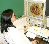 Out of Sight: Technology Helps Visually Impaired Students Thrive | Edutopia