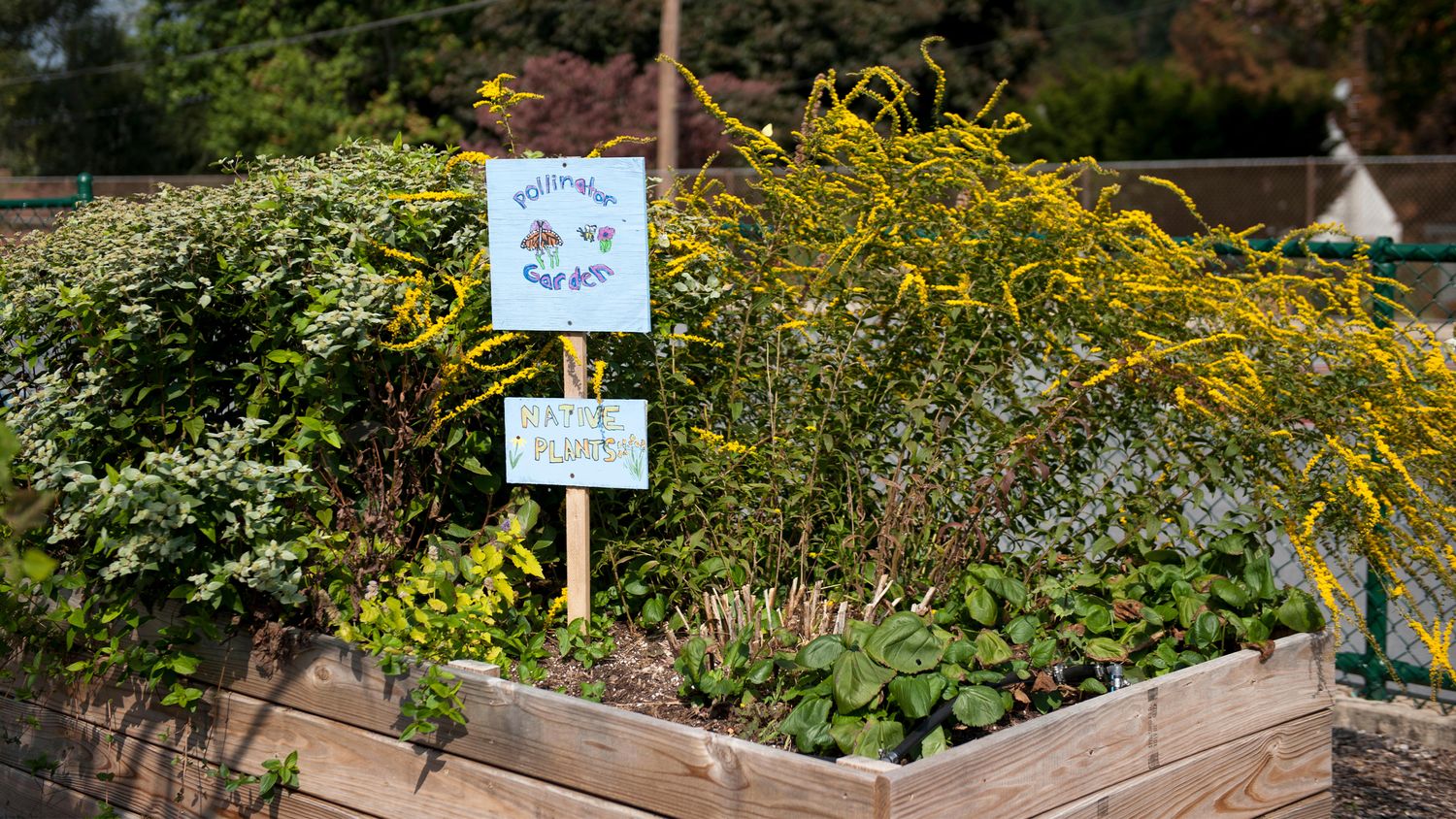 Using Project-Based Learning to Build a Strong Learning Community ...