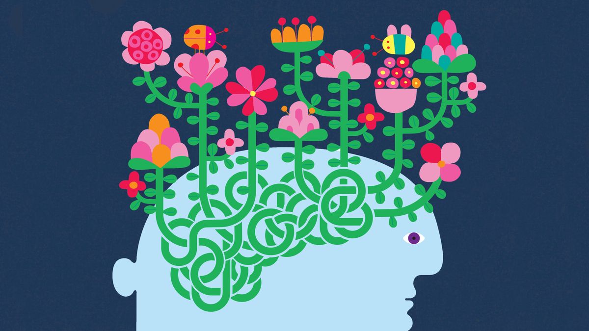 Fostering Emotional Literacy in Elementary School Begins With the Brain ...