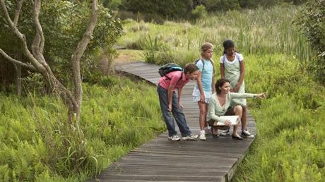 Six Outdoor Education Resources for Parents | Edutopia
