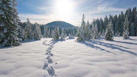 Second Half Survival: 4 Tips to Get You from January to June | Edutopia