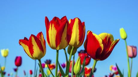 Adding a Spring to Your Step: 4 Ways to Beat the Winter Blues | Edutopia