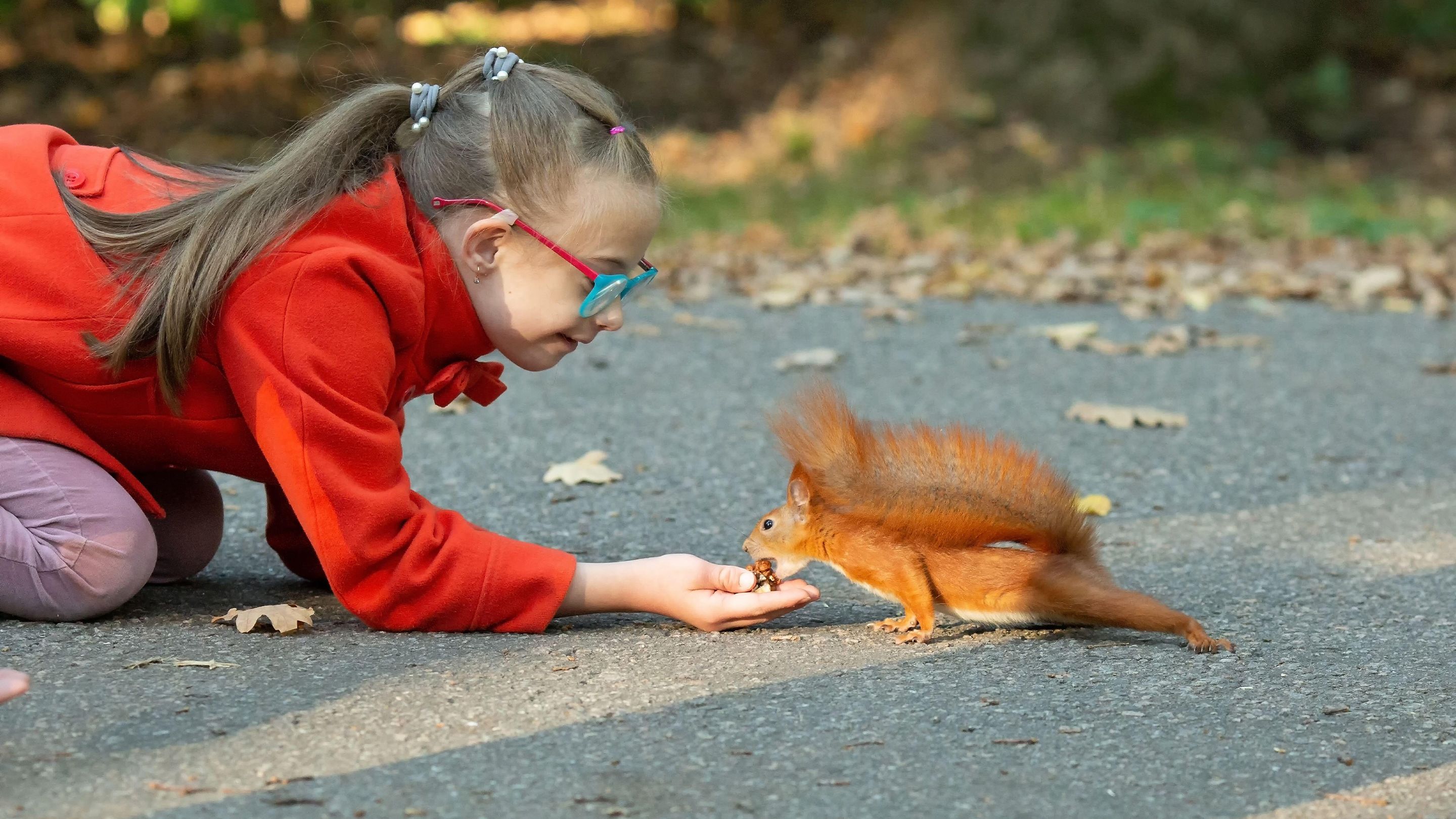 Using Effective Driving Questions in Elementary School Science to Help ...