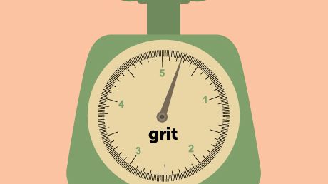 Adding the Grit Scale to School Data | Edutopia