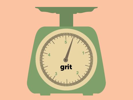 Adding the Grit Scale to School Data | Edutopia