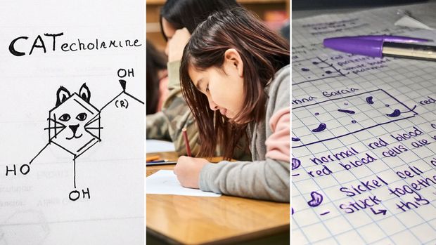 How—and Why—to Introduce Visual Note-Taking to Your Students | Edutopia
