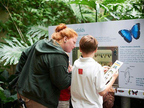 5 Tips for Engaging Parent Volunteers in the Classroom | Edutopia