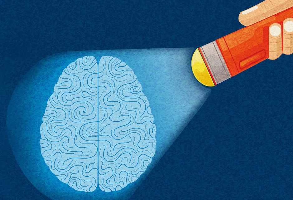 Brain-Based Learning | Edutopia